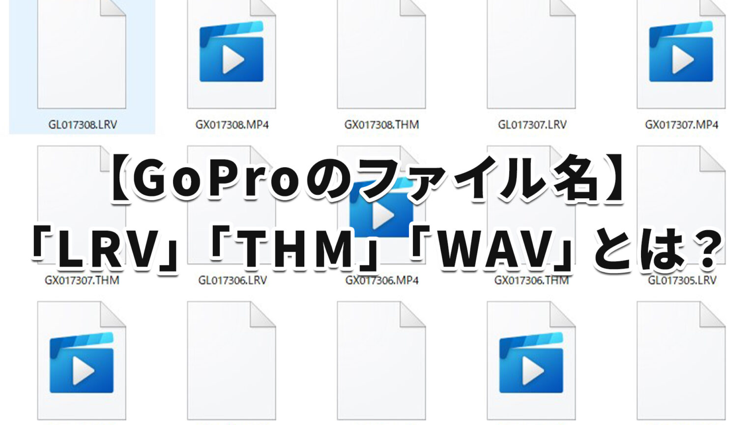 【GoProのファイル名】「LRV」「THM」「WAV」とは？ - リクガメブログ